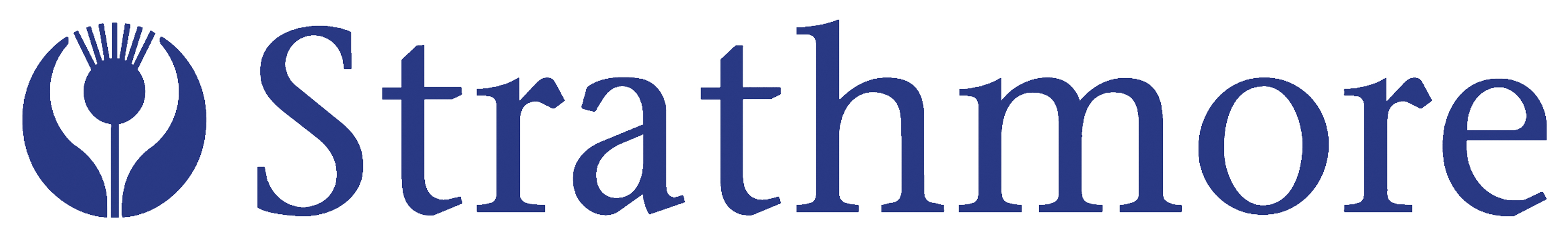 Strathmore - Visual Journal